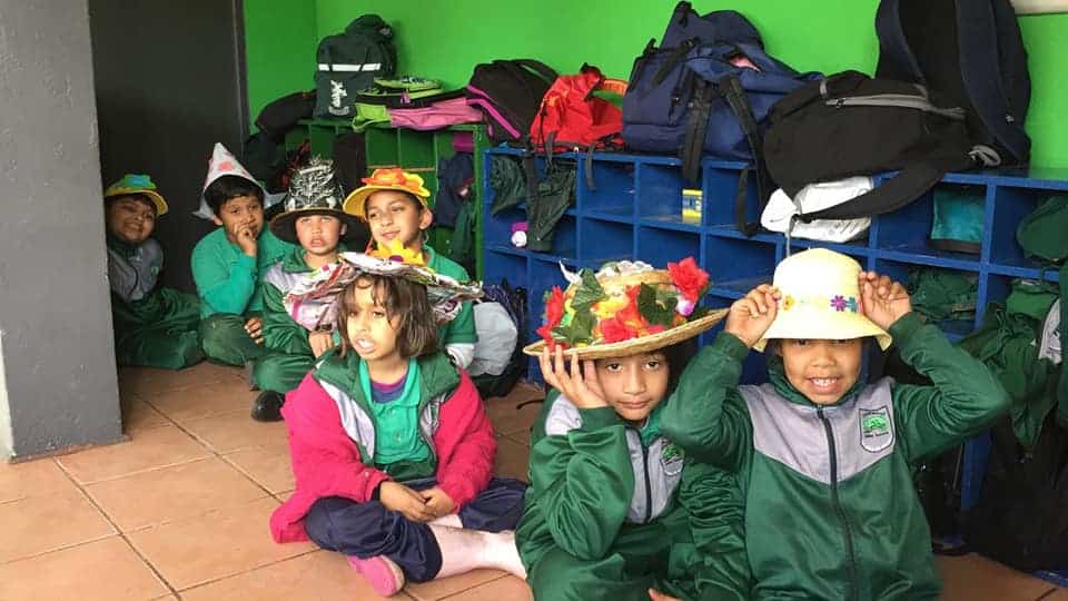 Chameleon Junior School Sybrand Park Primary School | Primary School In ...
