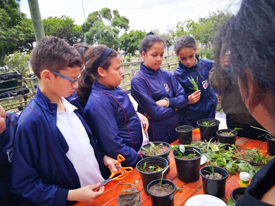 Star College Sybrand Park Primary School | Primary School In Cape Town