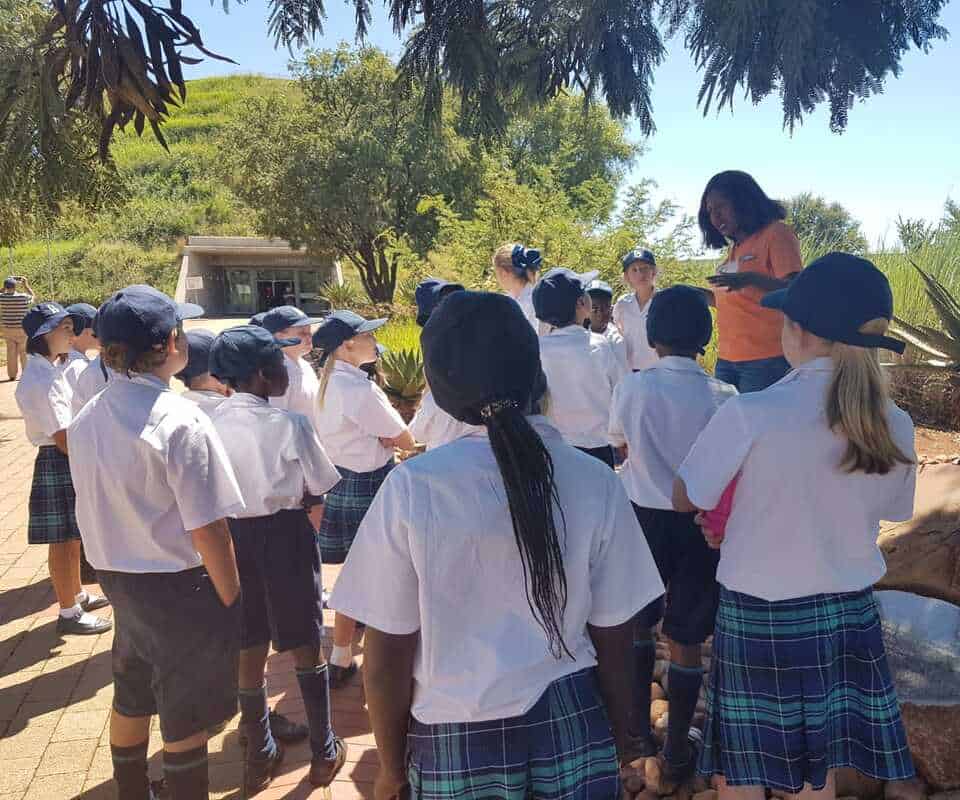 Broadacres Academy Primary School | Primary School In Sandton