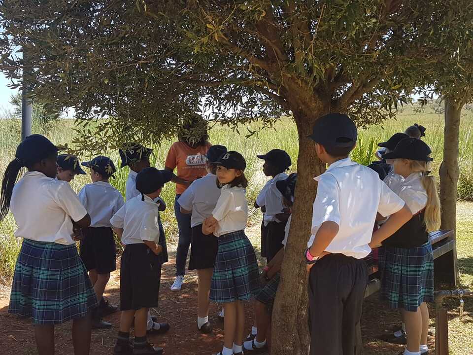 Broadacres Academy Primary School | Primary School In Sandton