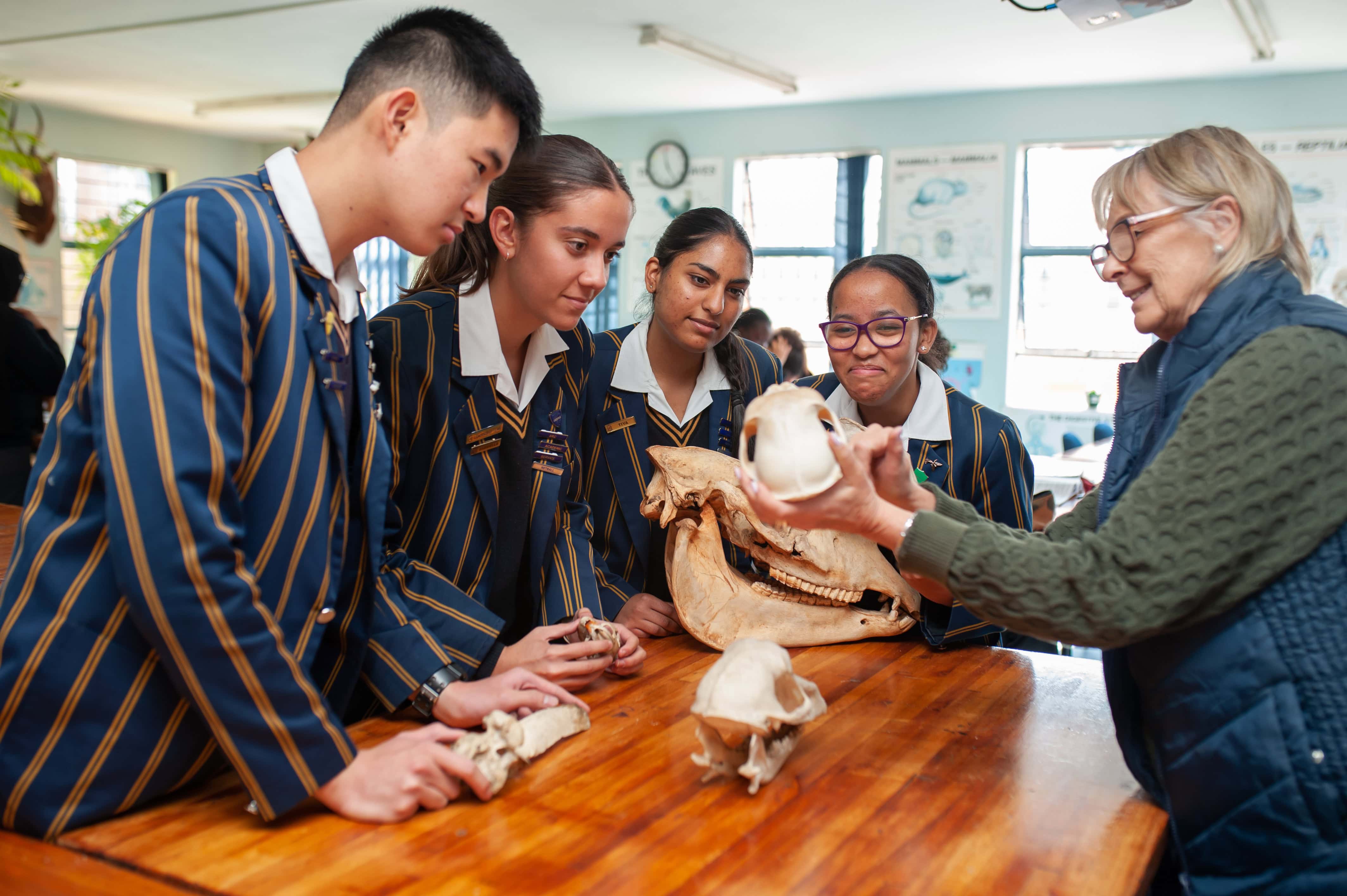 Marist Brothers Linmeyer High School | High School In Johannesburg